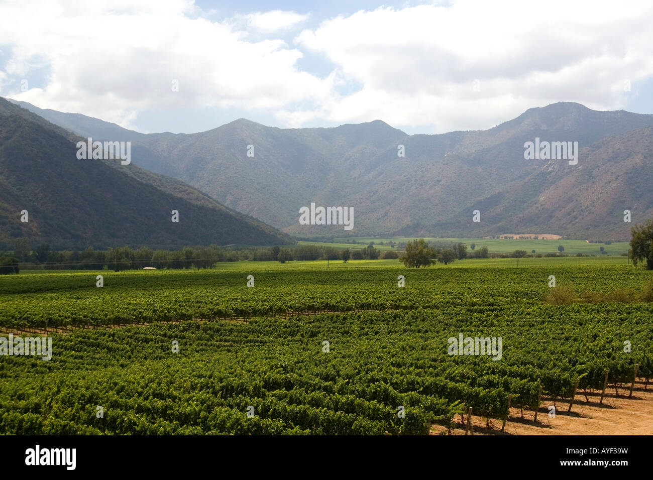 Wine santiago de chile hi-res stock photography and images - Alamy