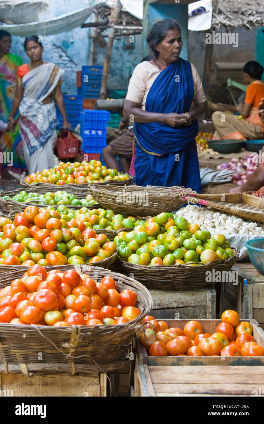 Woman Selling Tomatoes in a Vegetable Market in Madurai South India ...