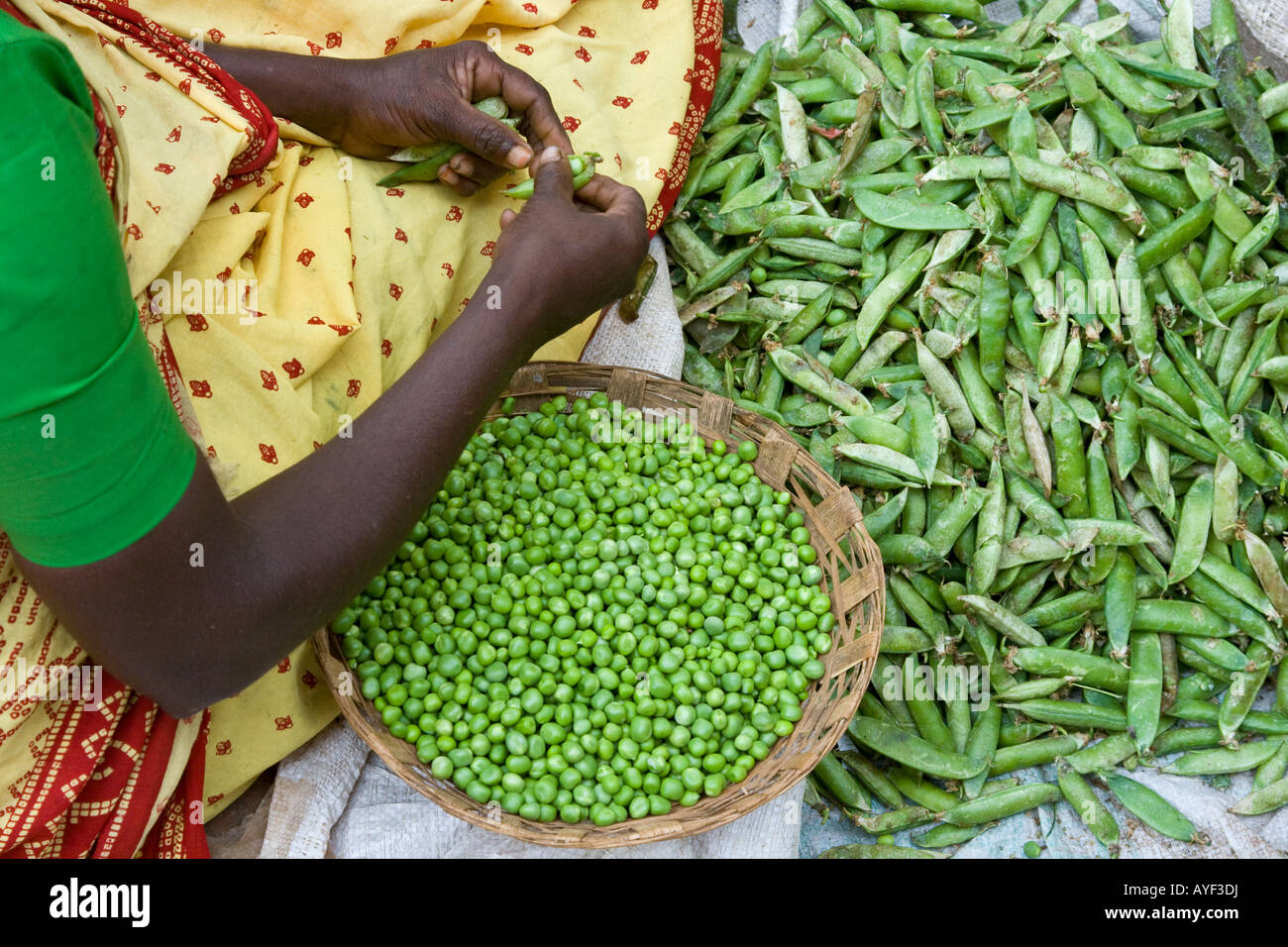 Woman Shucking Green Peas in a Vegetable Market in Madurai South India ...