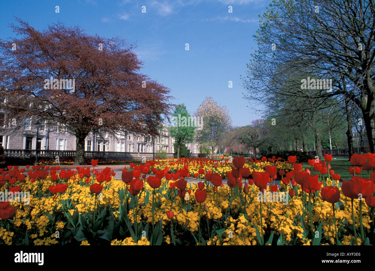 Queens terrace hi-res stock photography and images - Alamy