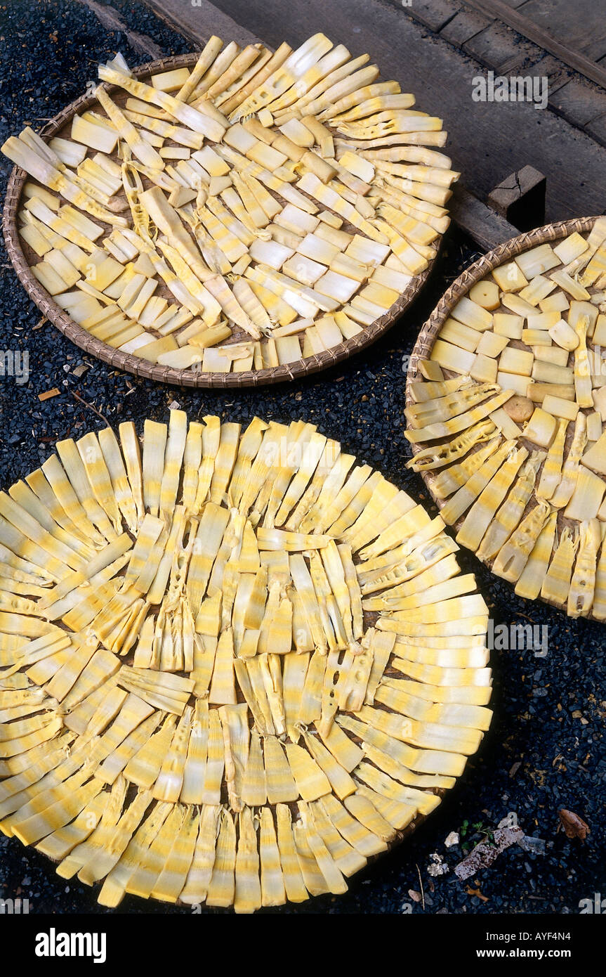 Strips of yellow bamboo drying in the sun Ban Don village Stock Photo ...