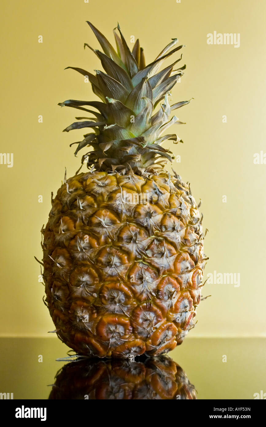 A ripe pineapple fruit Ananas comosus on a shiny reflective glass ...