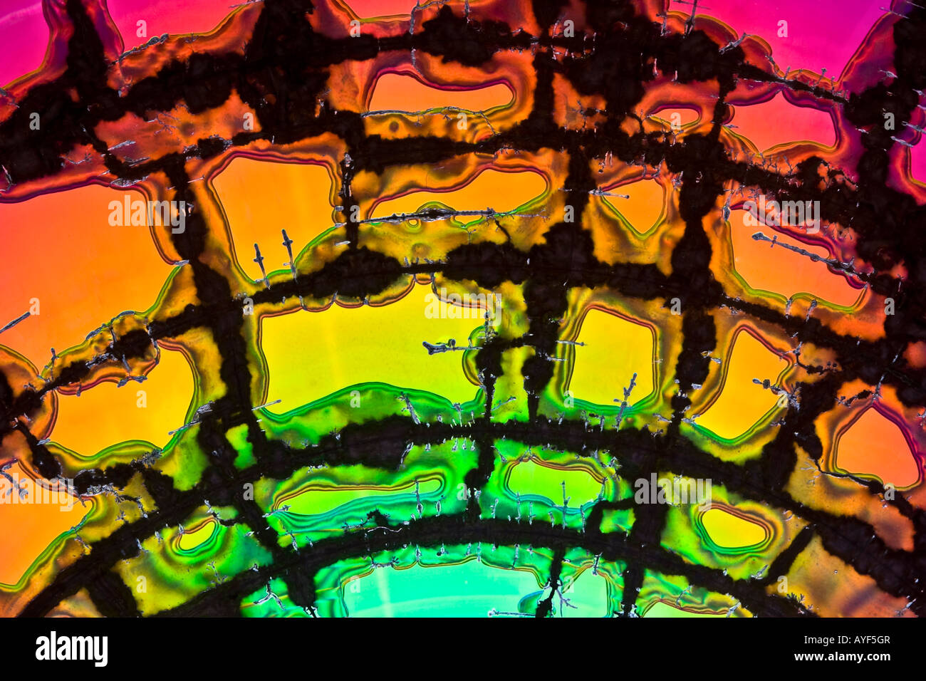 Detail of a compact disc that was placed in a microwave oven for two ...