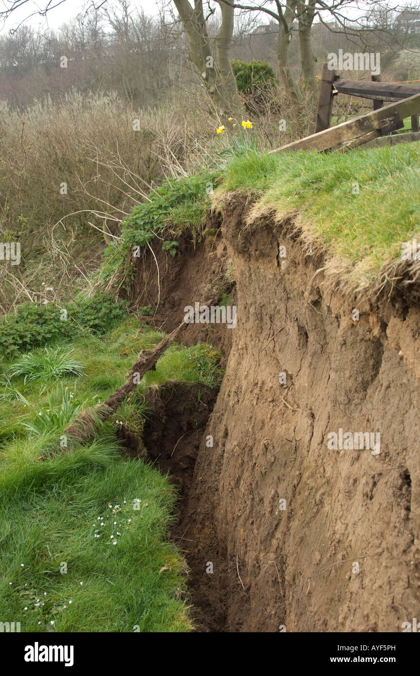 Detail of cliff garden landslide at Knipe Point, Yorkshire, UK Stock ...