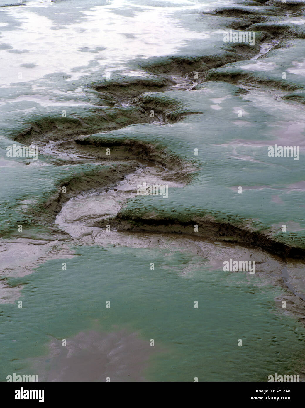 Thames Estuary mud flat London United Kingdom Stock Photo - Alamy