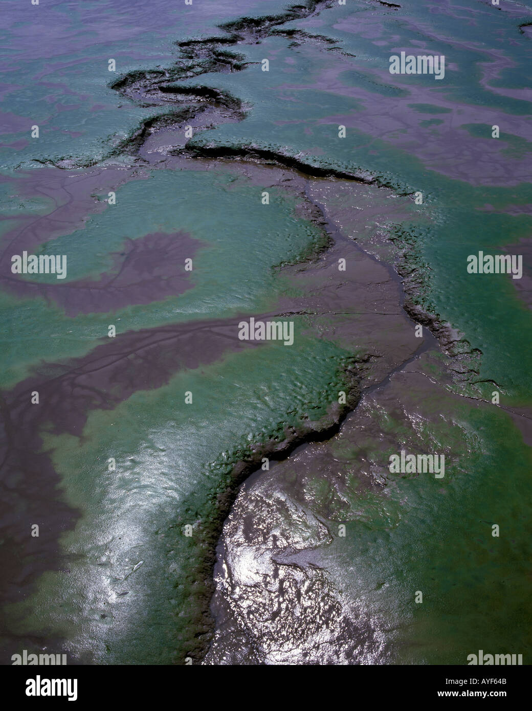 Sediment coating hi-res stock photography and images - Alamy