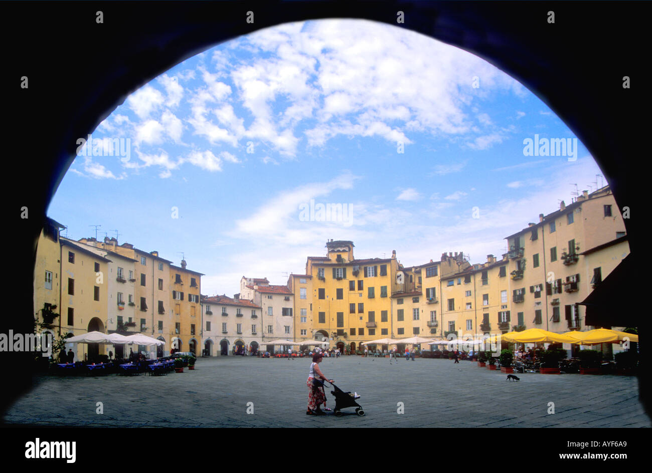 Piazza dell Anfiteatro Amphitheatre Lucca Tuscany Italy Stock Photo - Alamy