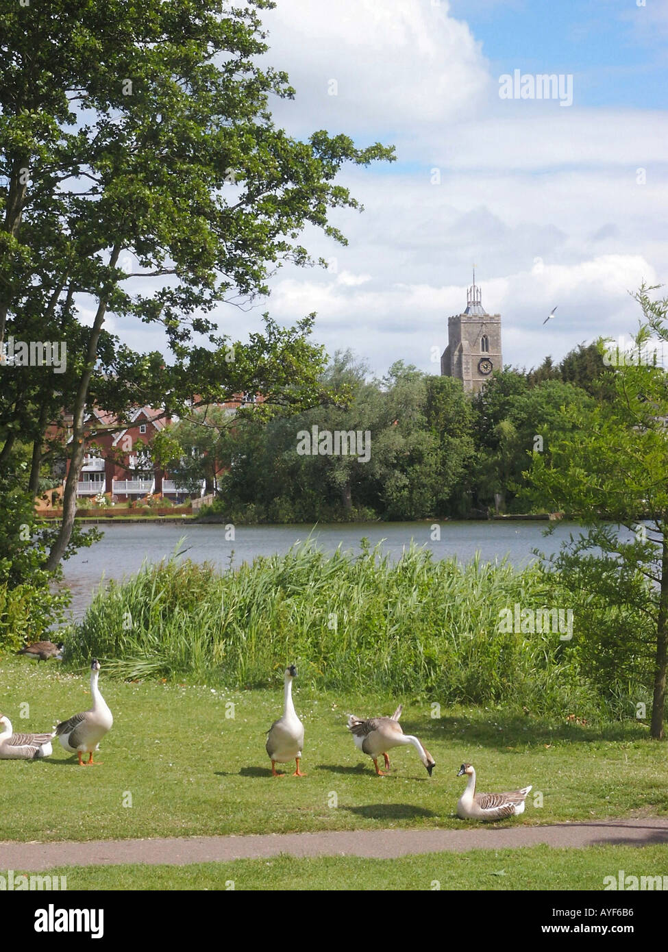 Diss leisure park hi-res stock photography and images - Alamy