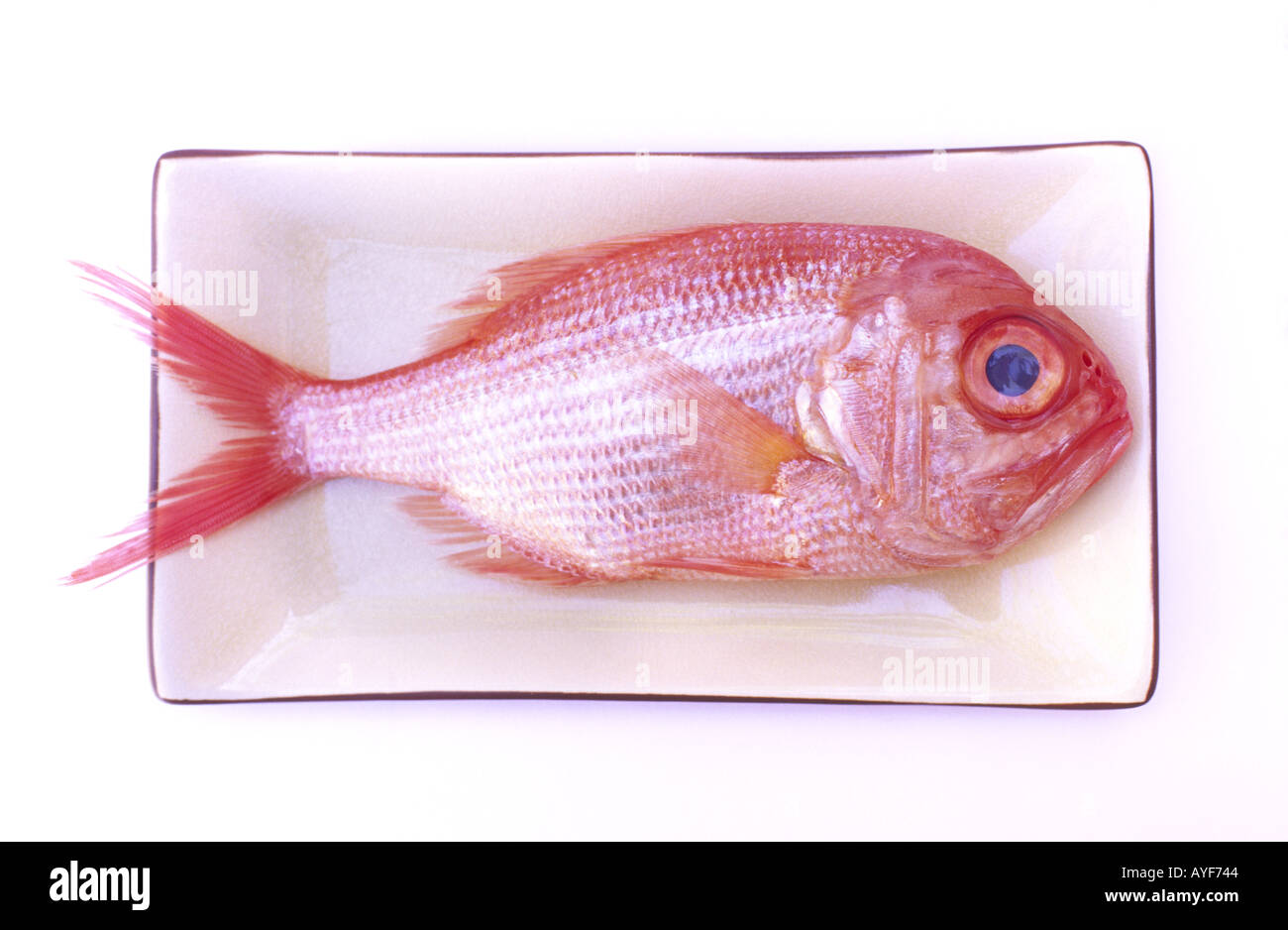 Large mouth with pointy teeth Cut Out Stock Images & Pictures - Alamy