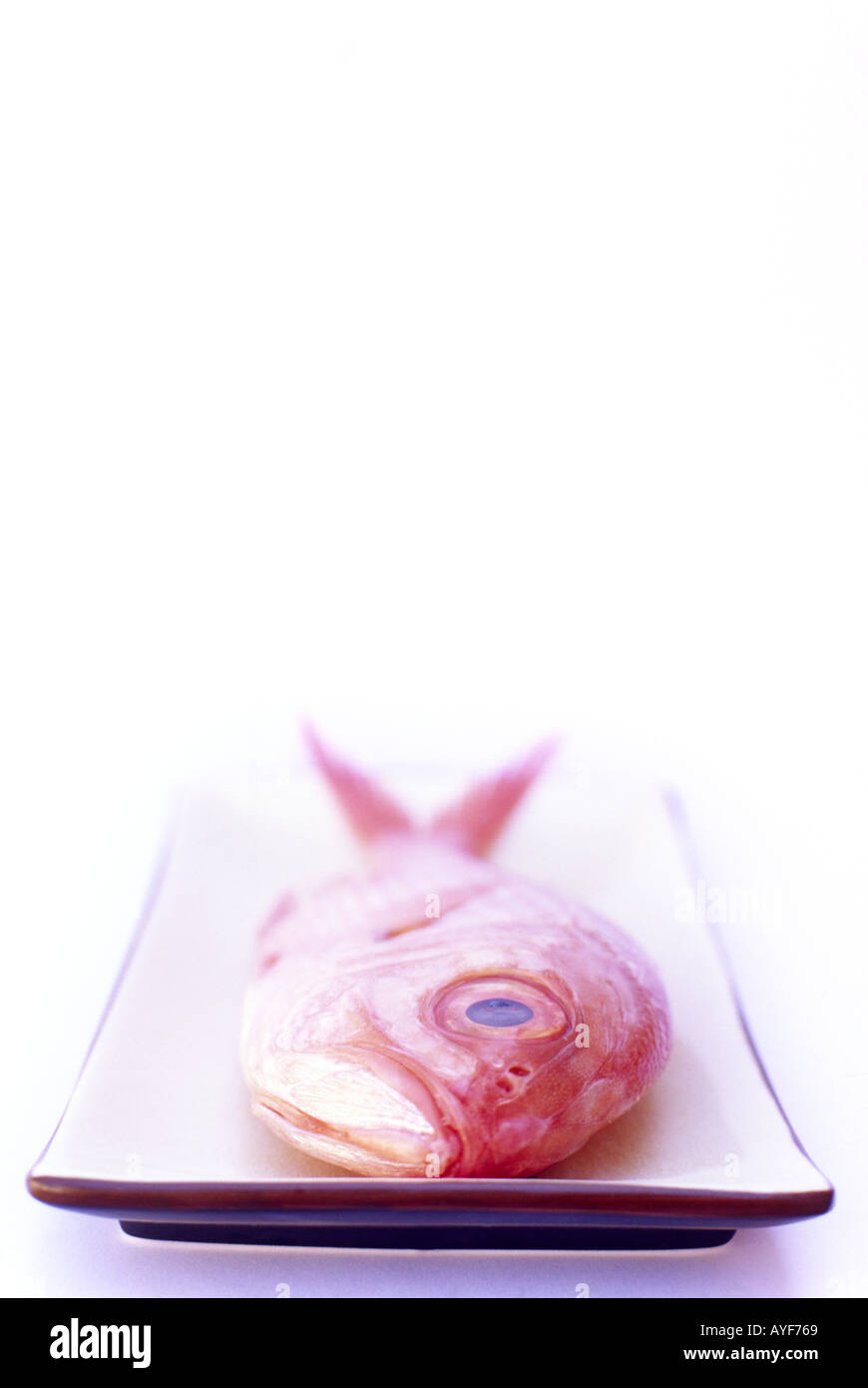 Fresh red snapper fish seafood on its side with large clear eyes and ...