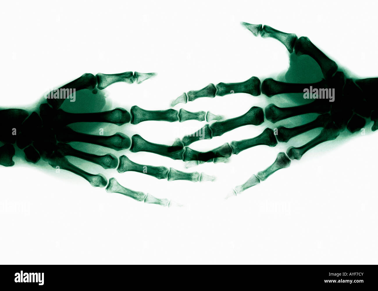 Business handshake after contract hi-res stock photography and images ...