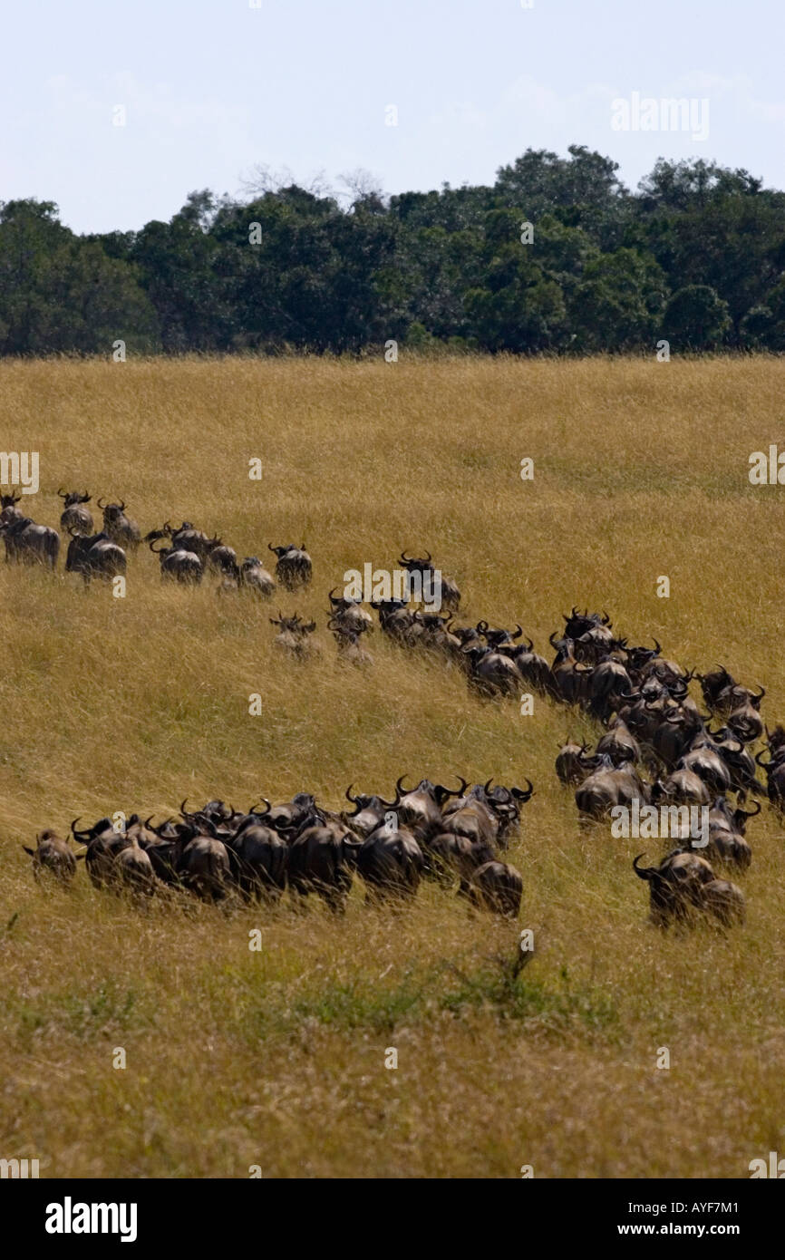 Wending way hi-res stock photography and images - Alamy