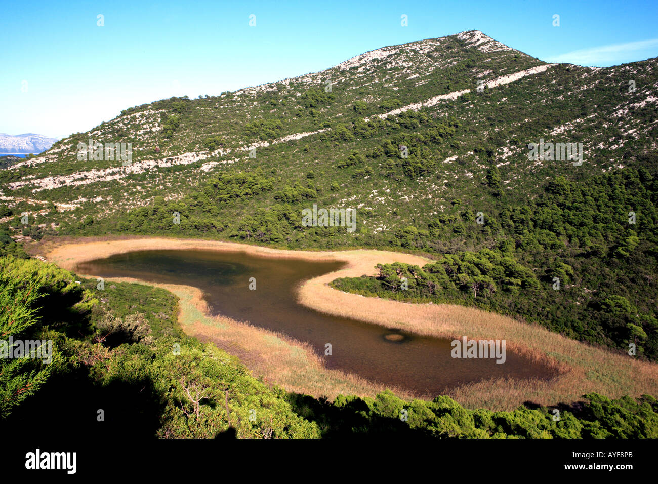 Blatina sobra hi-res stock photography and images - Alamy