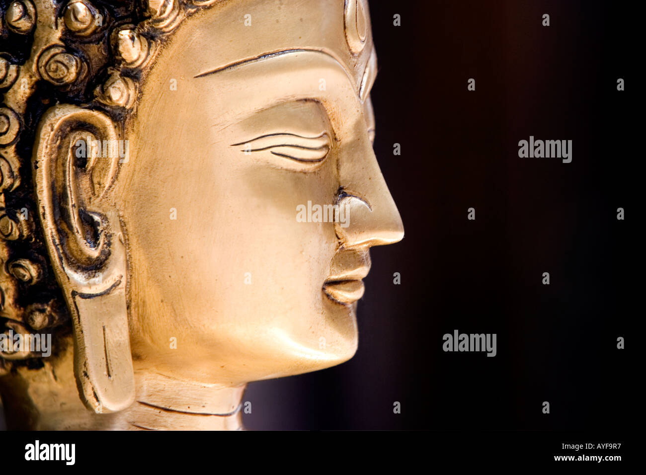 Buddha Head Side View