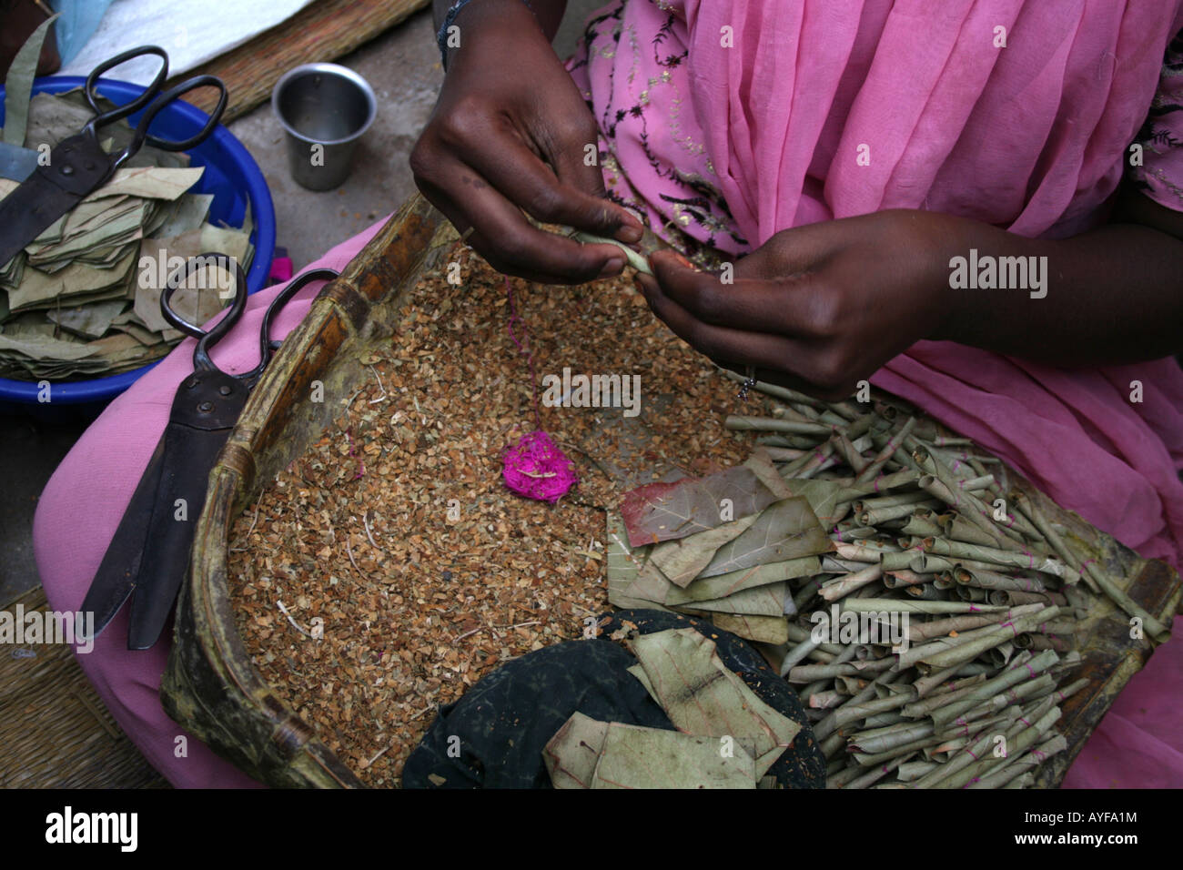 Woman in rural India rolling beedi cigarettes, Tamil Nadu, India Stock ...