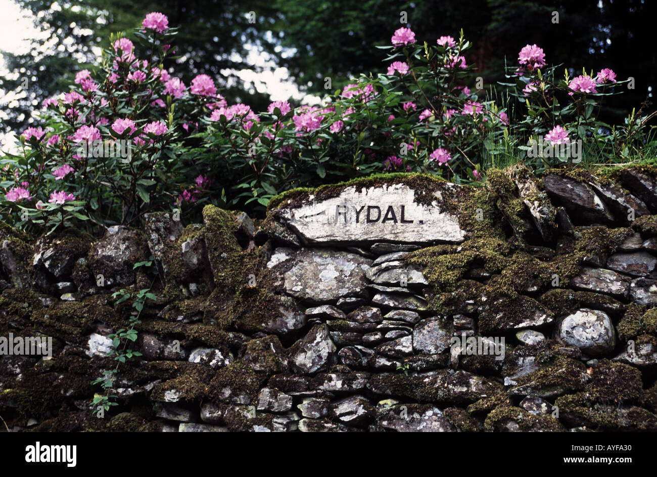Rydal Road sign Lake District Cumbria England UK Stock Photo - Alamy
