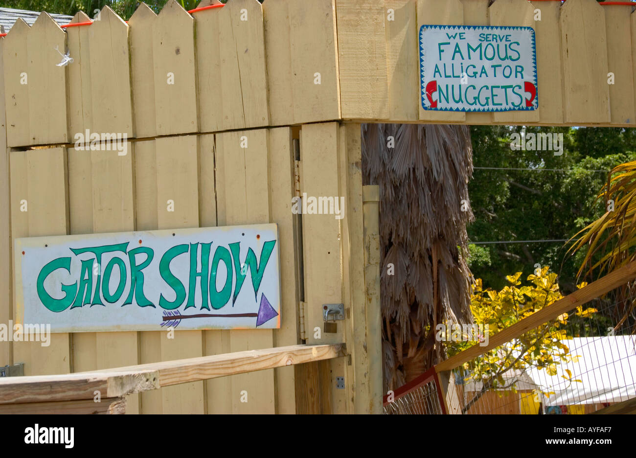 We serve famous alligator nuggets sign hi-res stock photography and ...