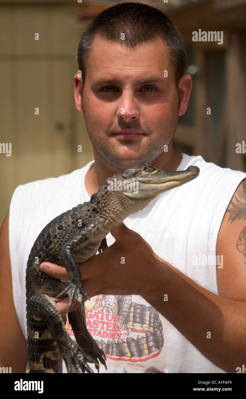 Alligator florida holding hi-res stock photography and images - Alamy