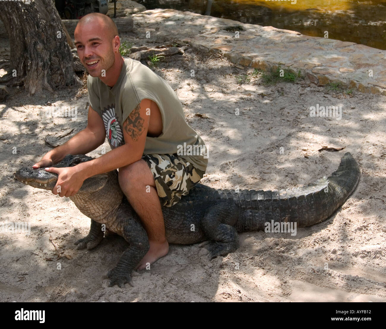 Seminole alligator wrestling florida hi-res stock photography and ...