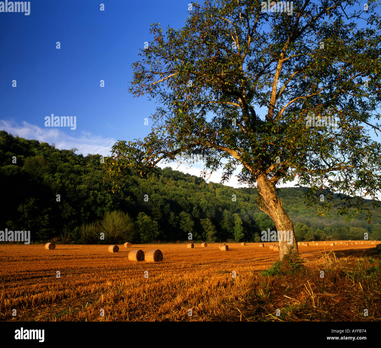 Alluvial round hi-res stock photography and images - Alamy