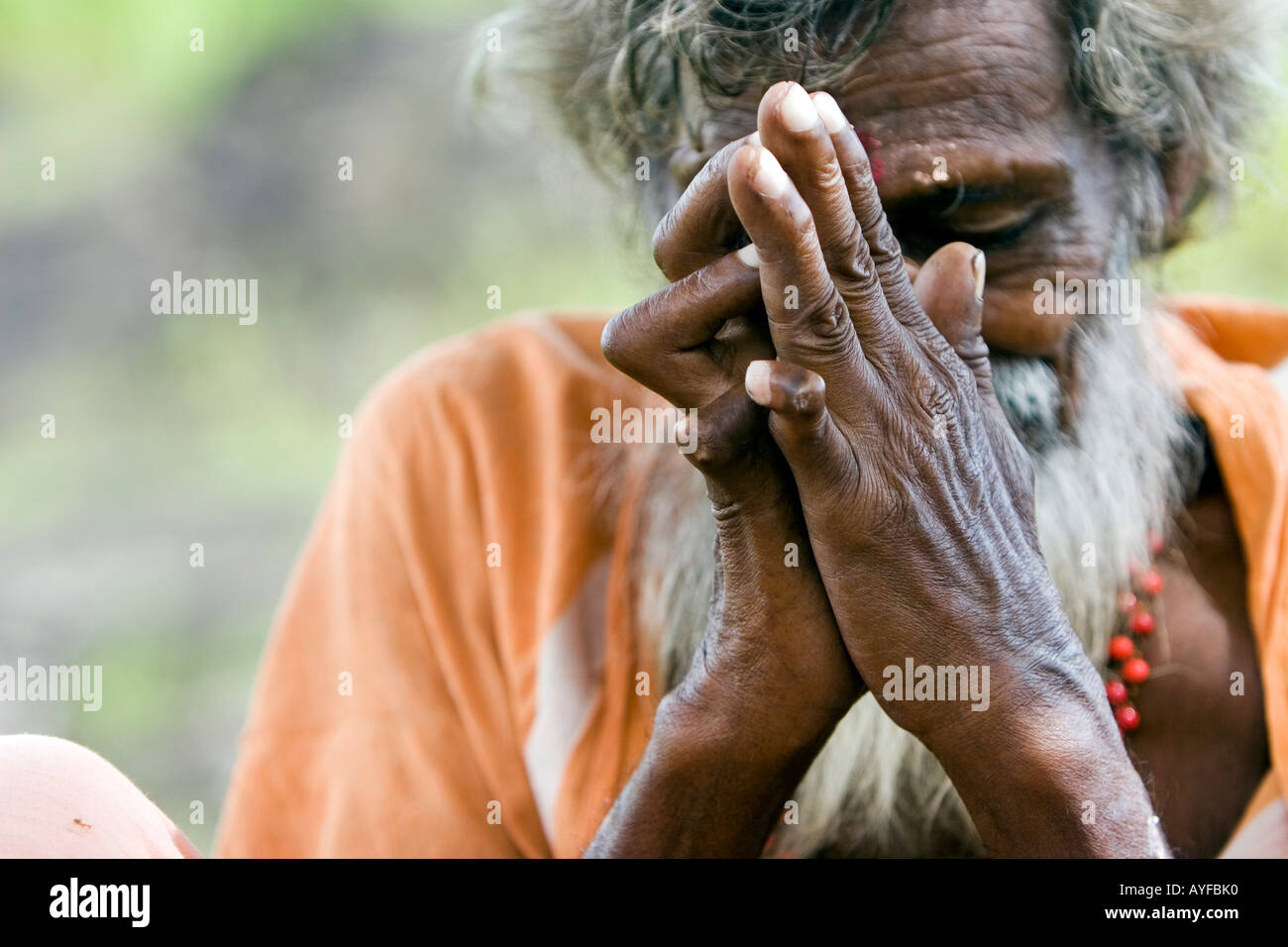 Peaceful old Indian Indian Sannyasi praying at a temple. India Stock ...