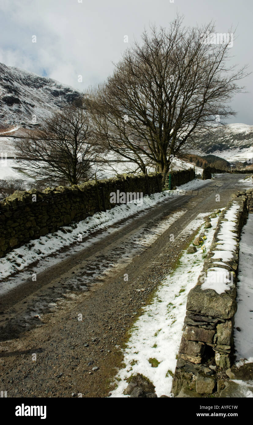 Rural lane snow hi-res stock photography and images - Alamy