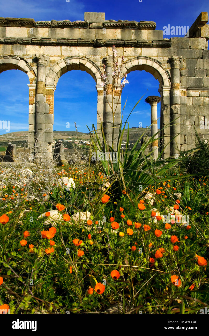 Volubilis Roman ruins Dates from the 2nd and 3rd centuries AD View of ...