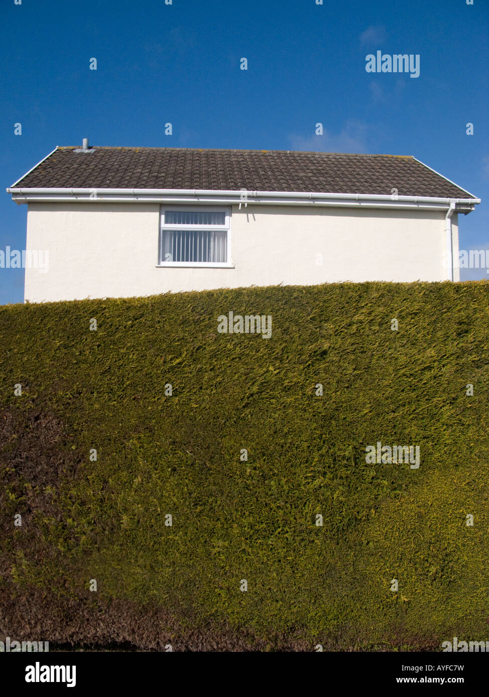 Privacy hide hi-res stock photography and images - Alamy