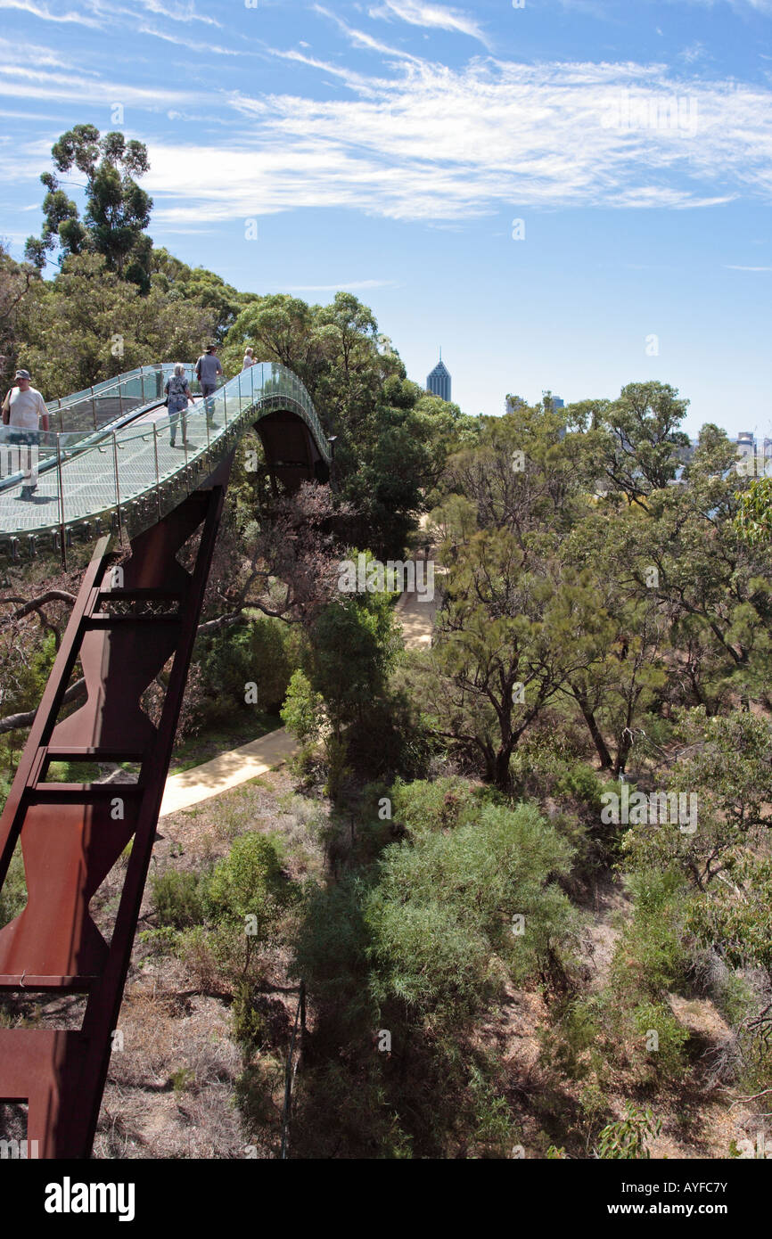 Elevated walkway at Kings Park in Perth, Western Australia Stock Photo ...