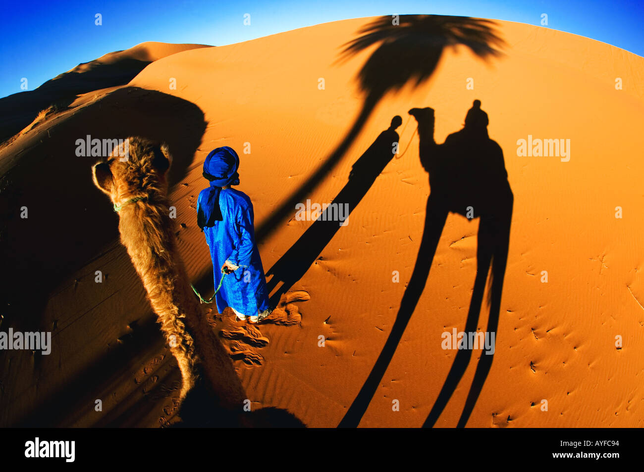 Tourism Shadows cast by a tourist camel trek in the sand dunes of Erg ...