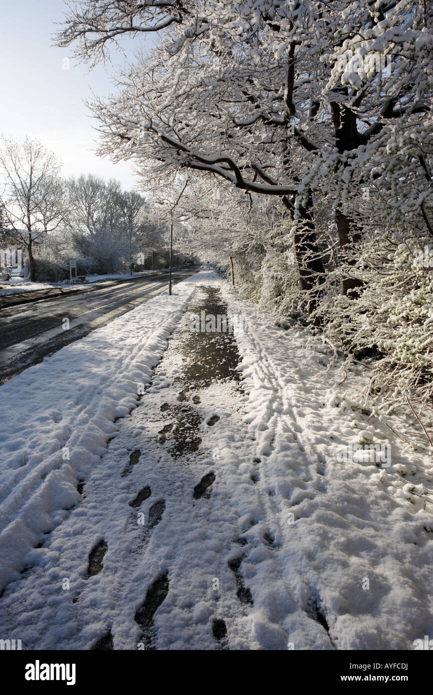 Wide pavement lined with trees hi-res stock photography and images - Alamy