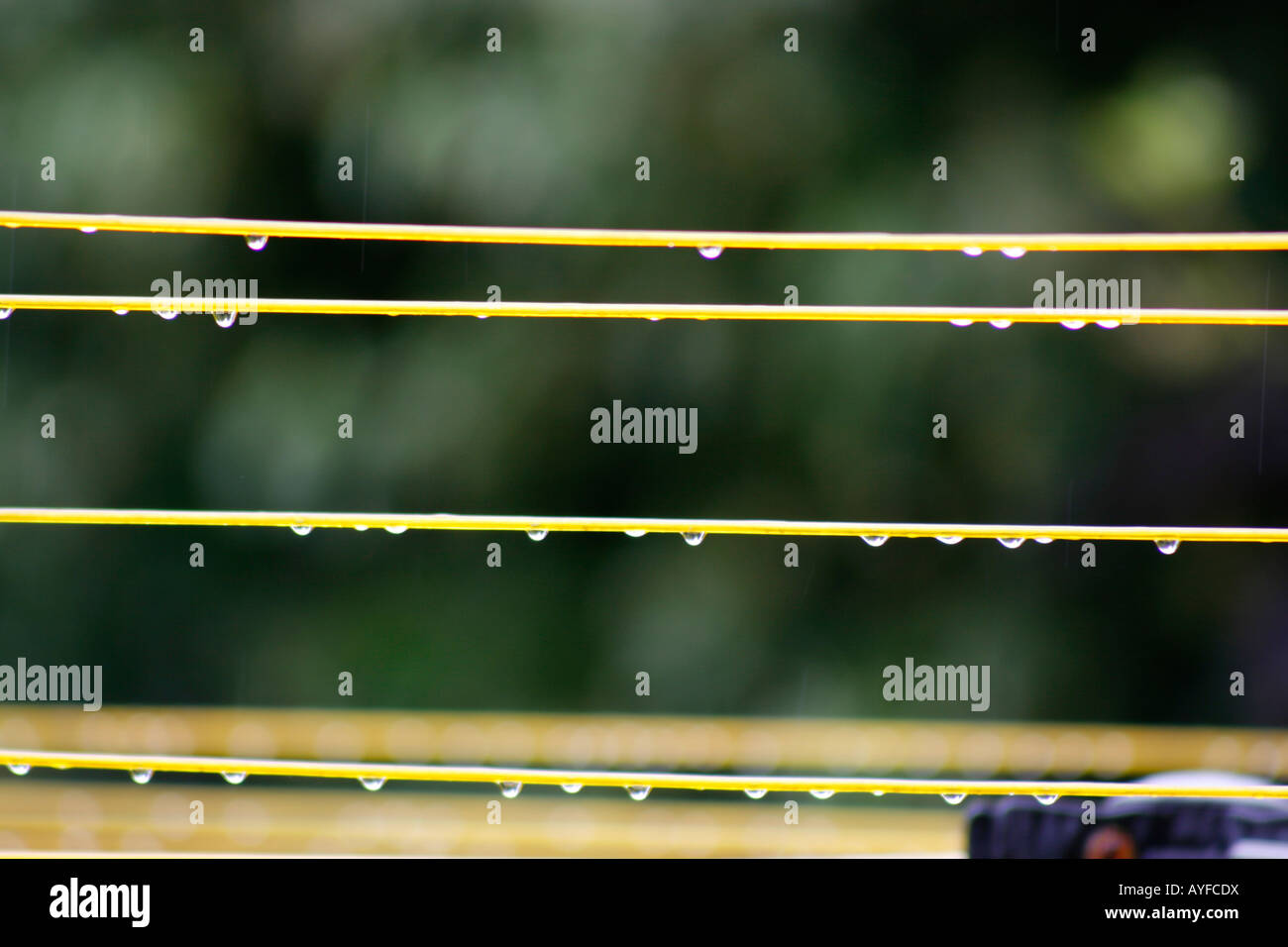 Water droplets on a washing line Stock Photo - Alamy