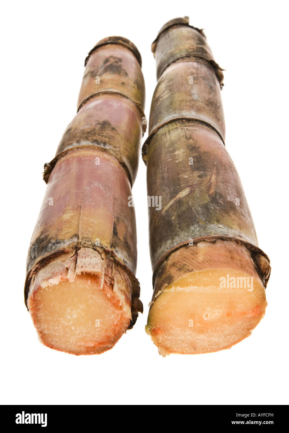 From plantation Cut Out Stock Images & Pictures - Alamy