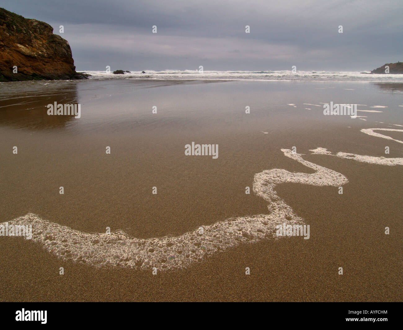 Seafoam on beach in Northern California Stock Photo - Alamy