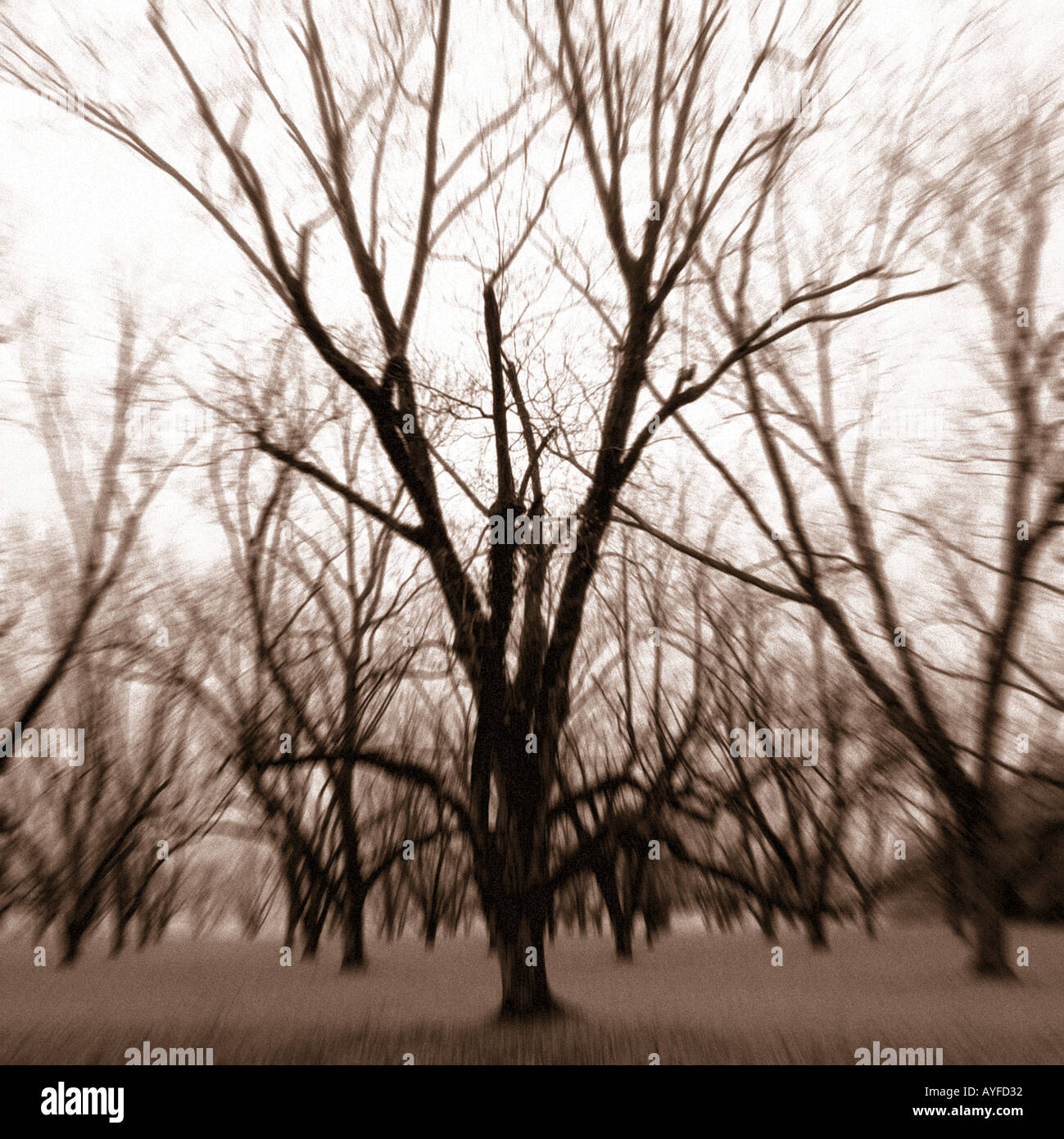 Walnut grove south carolina hi-res stock photography and images - Alamy