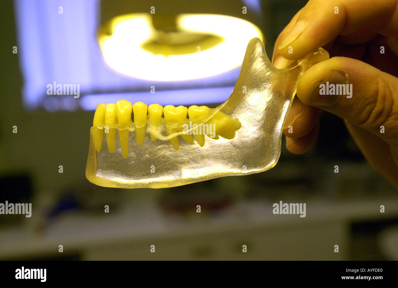 Forensic lab bone hi-res stock photography and images - Alamy