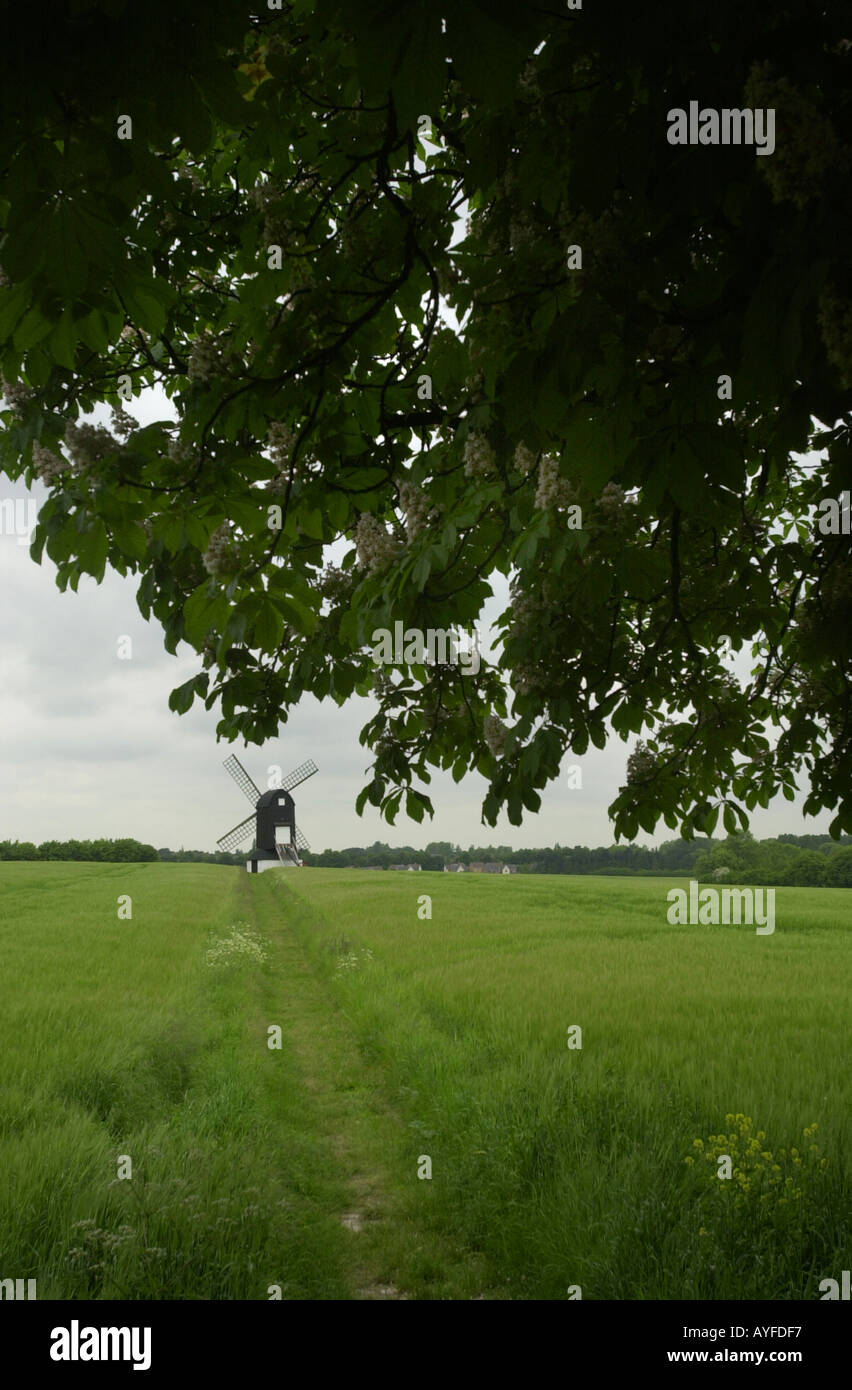 Pitstone Windmill Ivinghoe Buckinghamshire UK Stock Photo - Alamy
