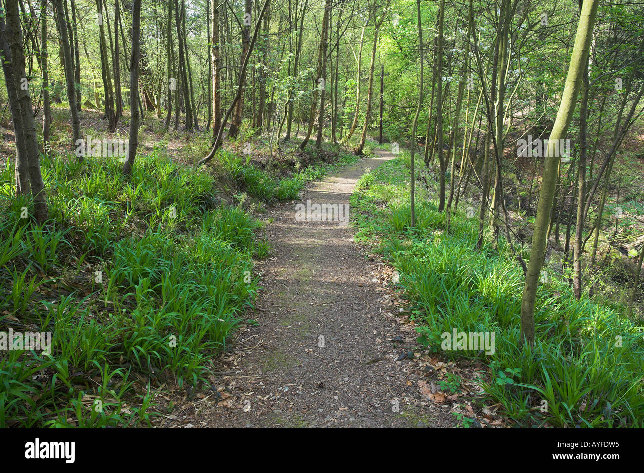 Witton Country Park Blackburn spring Lancashire Stock Photo - Alamy