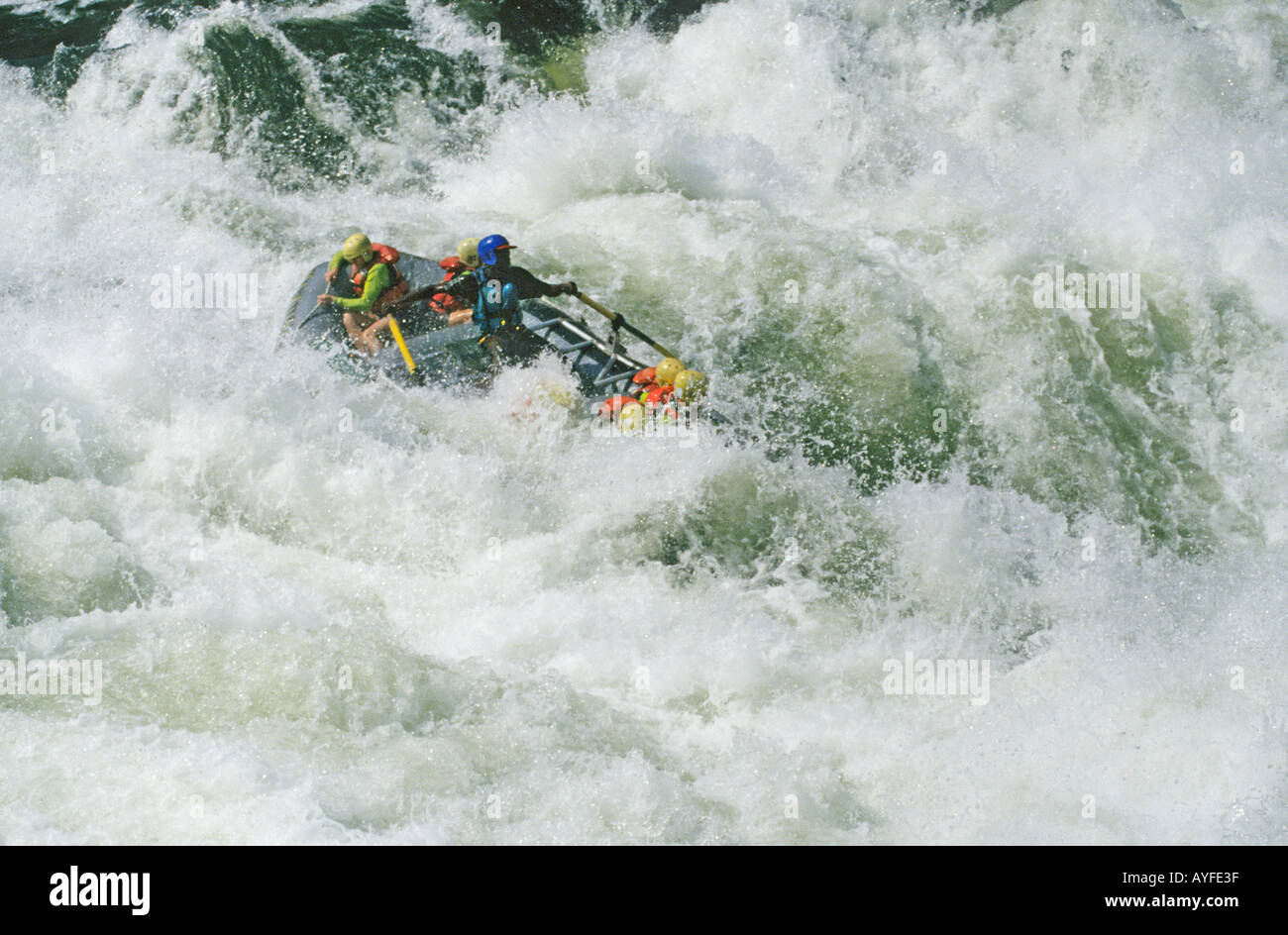 Whitewater rafting Zambezi River Zimbabwe Zambia border Africa Stock ...