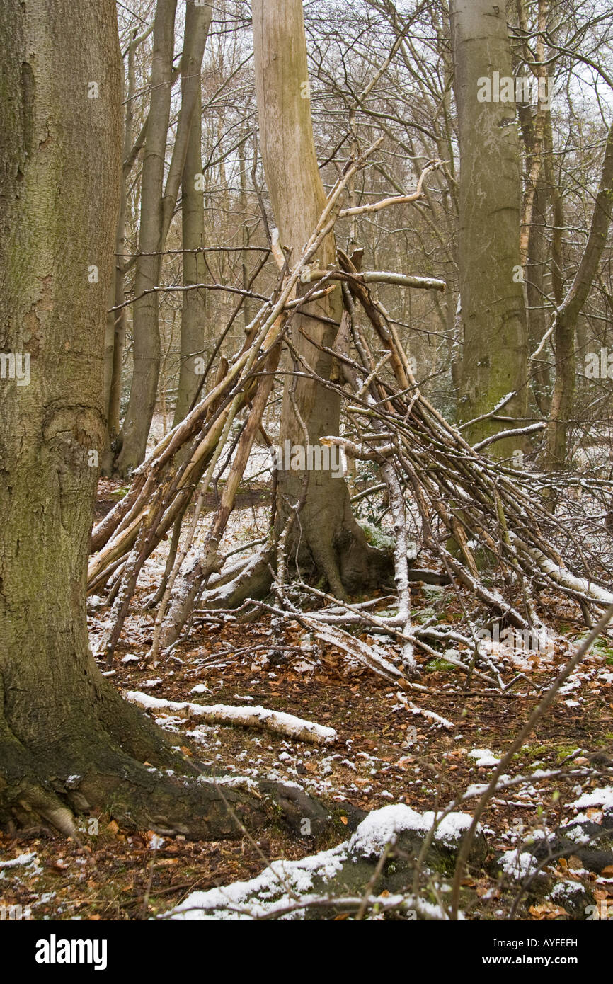 A forest den in the snow, England, UK Stock Photo - Alamy