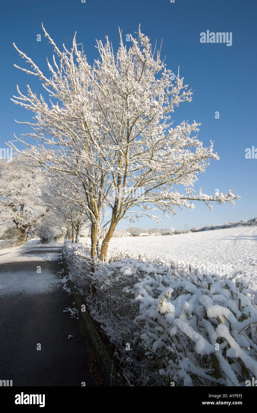 A snow covered rural landscape in the countryside Stock Photo - Alamy
