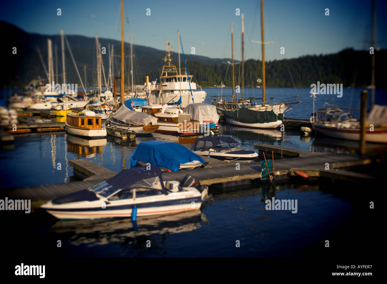 deep cove harbour Stock Photo - Alamy