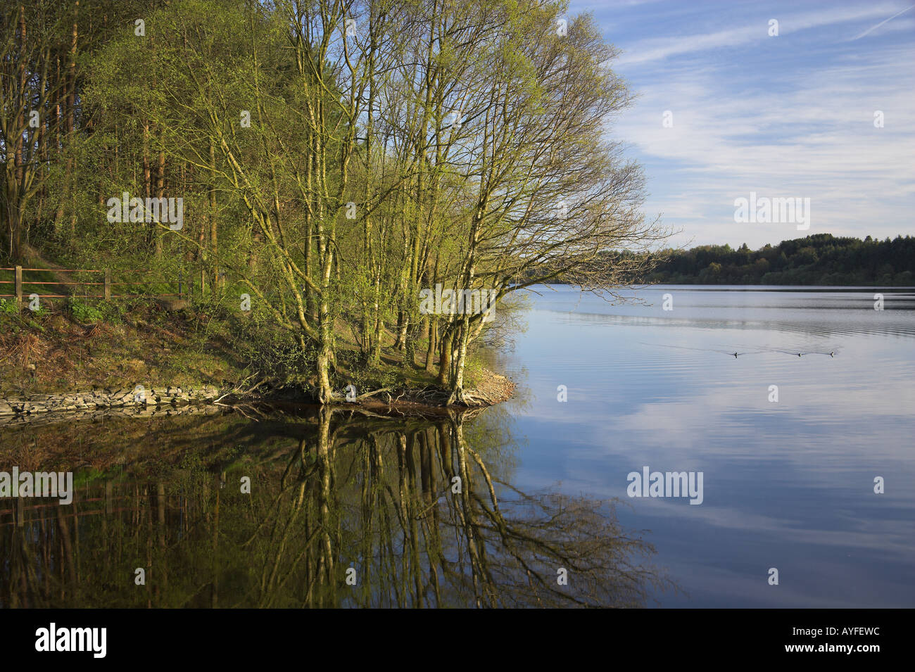 Wayoh reservoir hi-res stock photography and images - Alamy