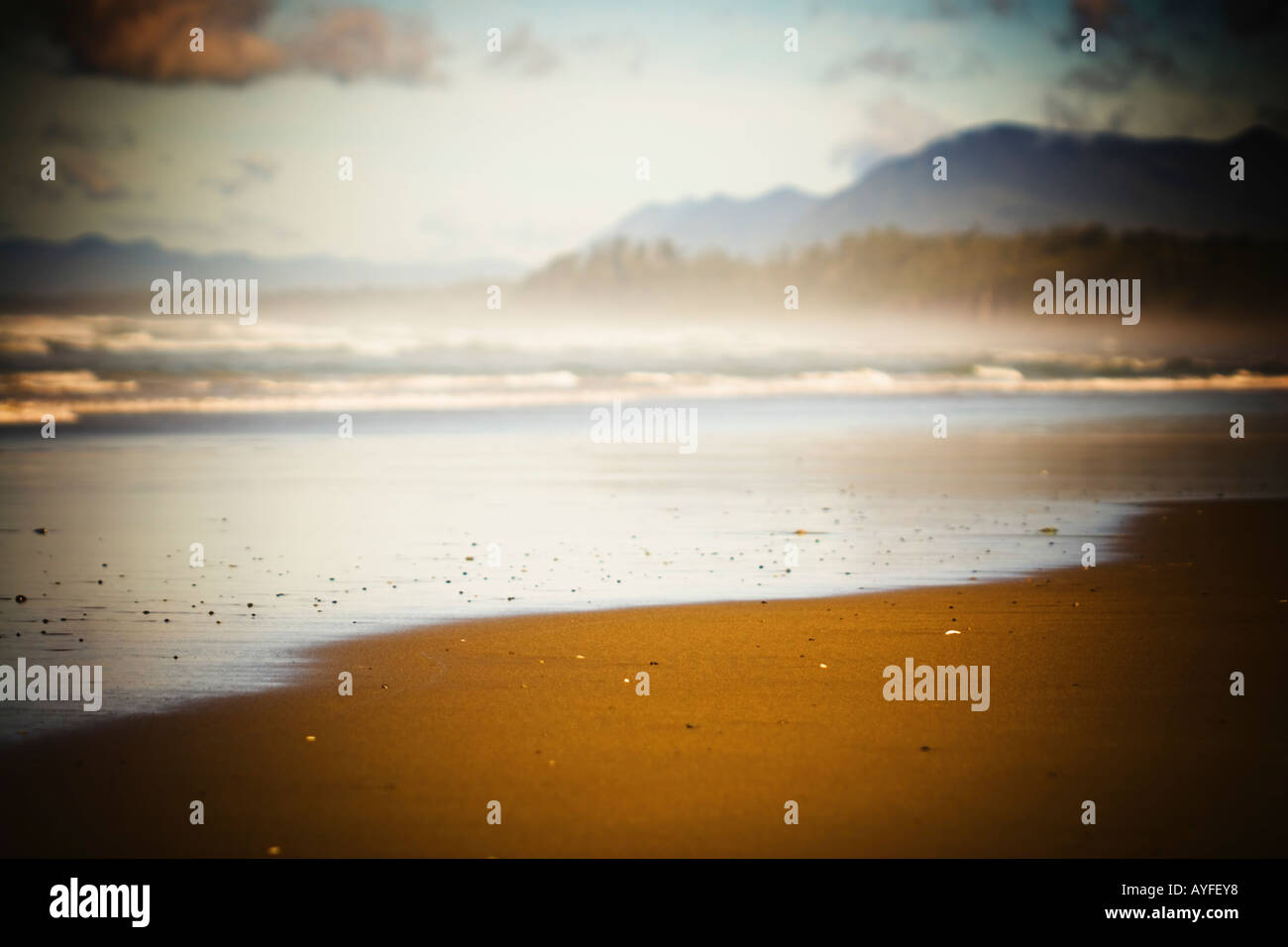 pacific rim beach Stock Photo - Alamy