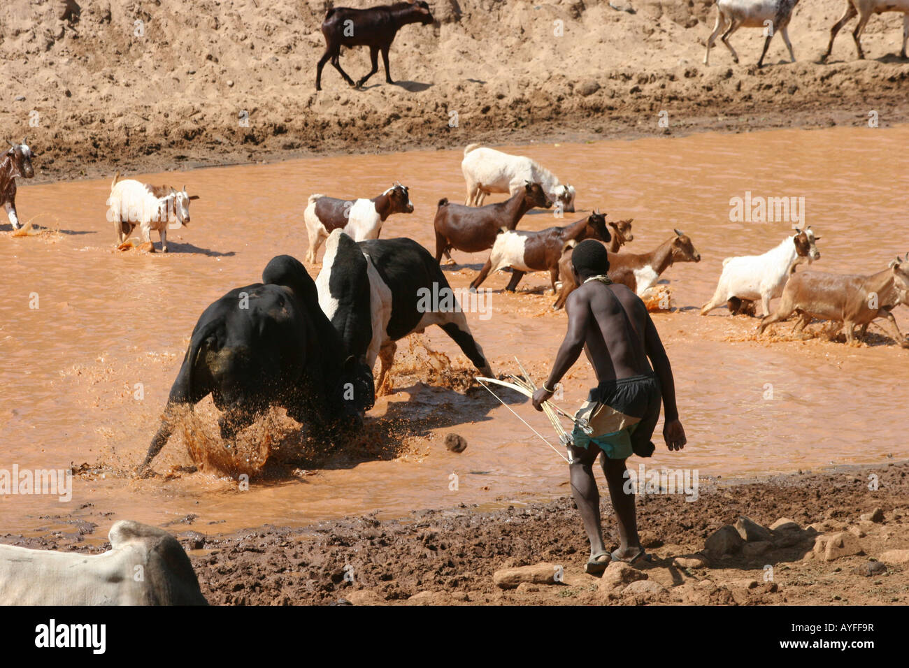 Tanzania african shepherd hi-res stock photography and images - Alamy