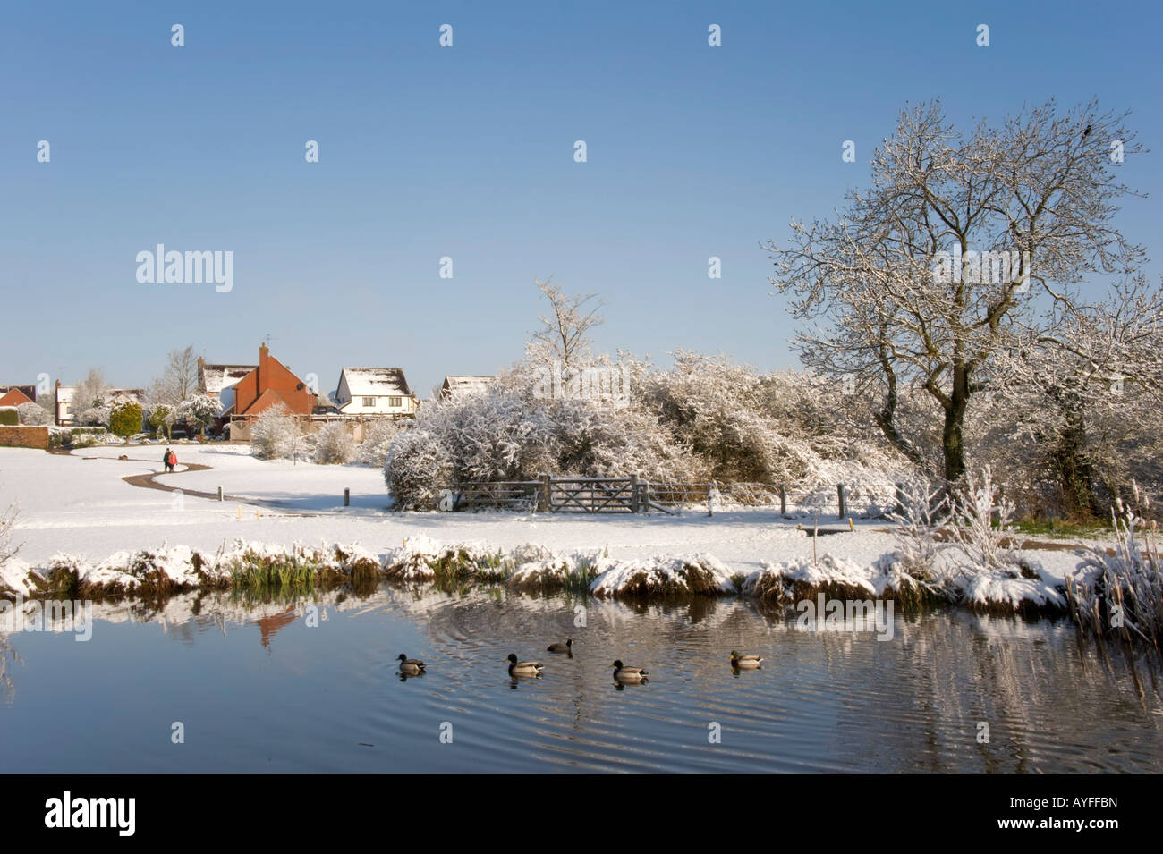 A snow covered rural landscape in the countryside Stock Photo - Alamy