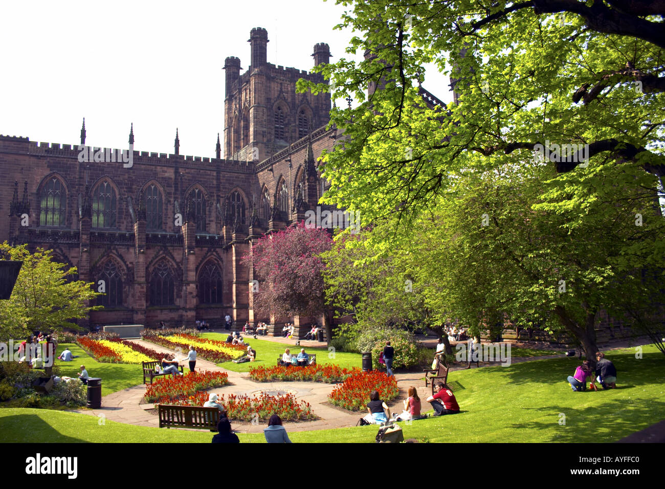 Chester uk cathedral blossom hi-res stock photography and images - Alamy