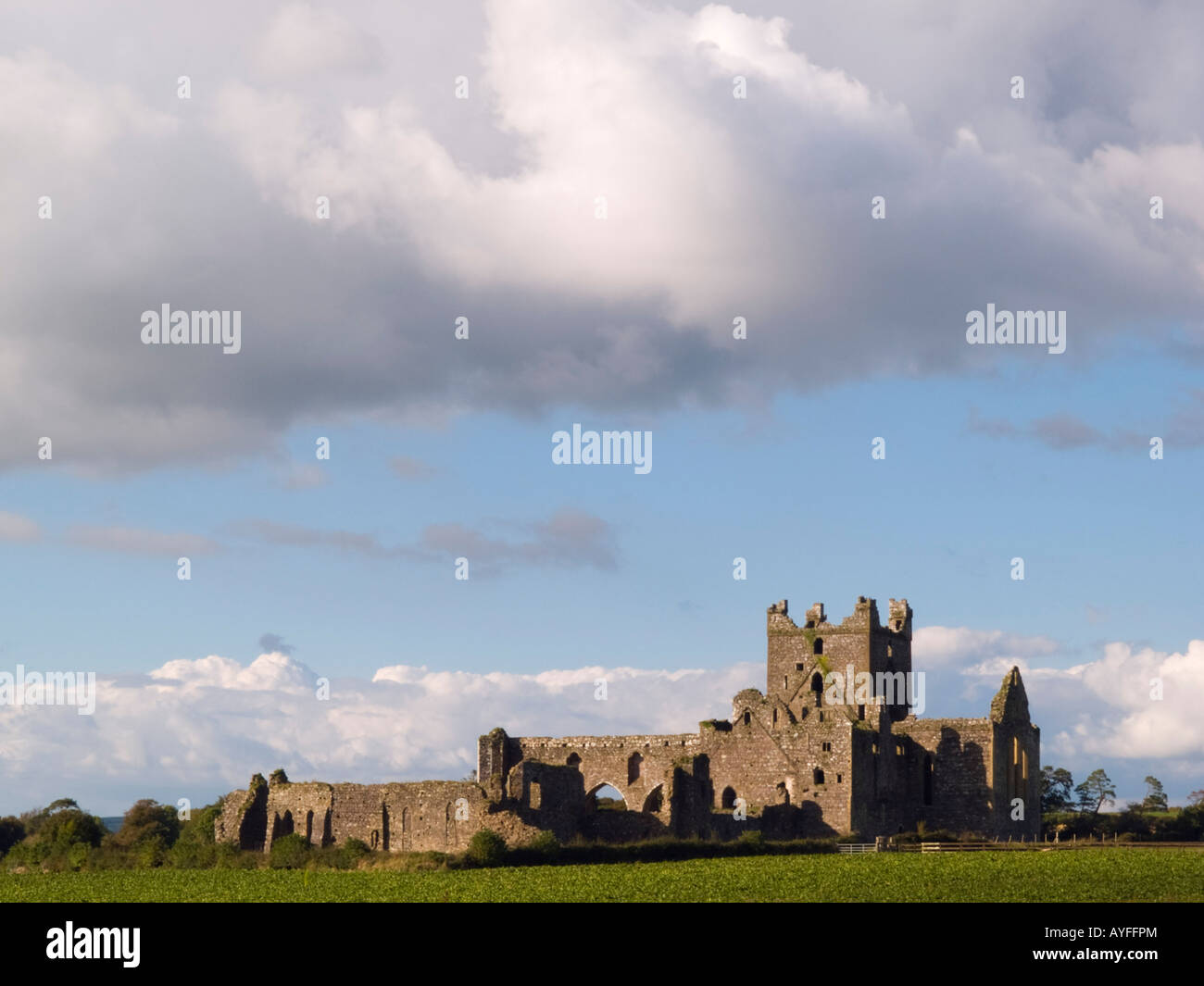 Dunbrody abbey wexford ireland hi-res stock photography and images - Alamy