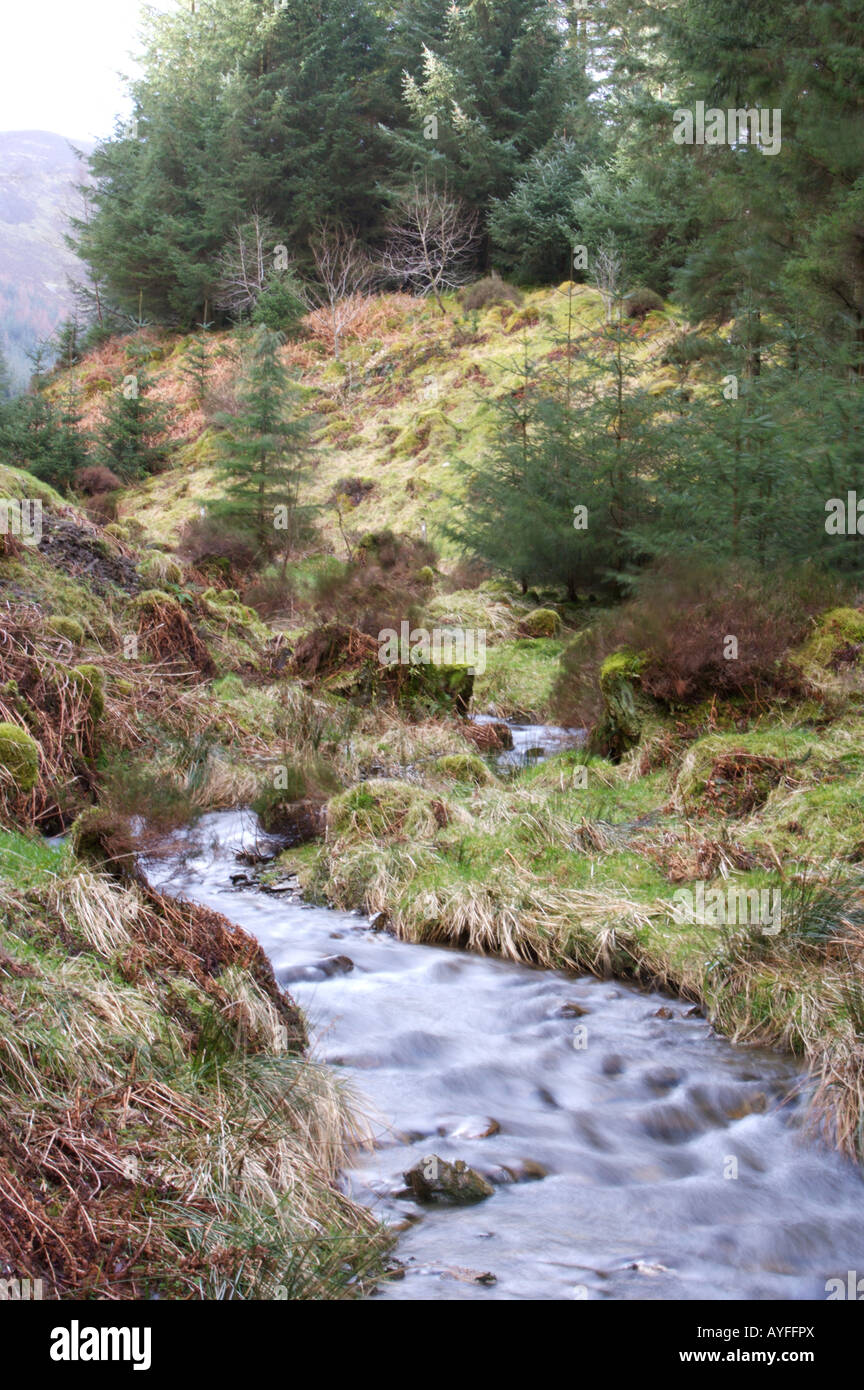 a stream in the Lake District, Cumbria, England Stock Photo - Alamy