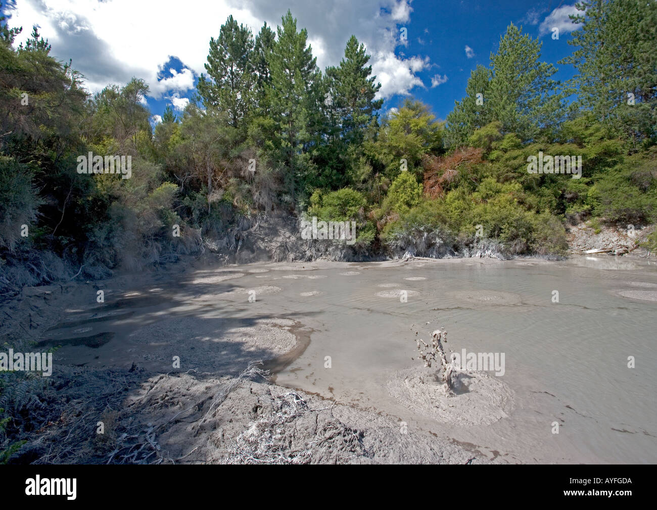 Boiling mud pools near Waimangu Rotorua area Geothermal activity, North ...